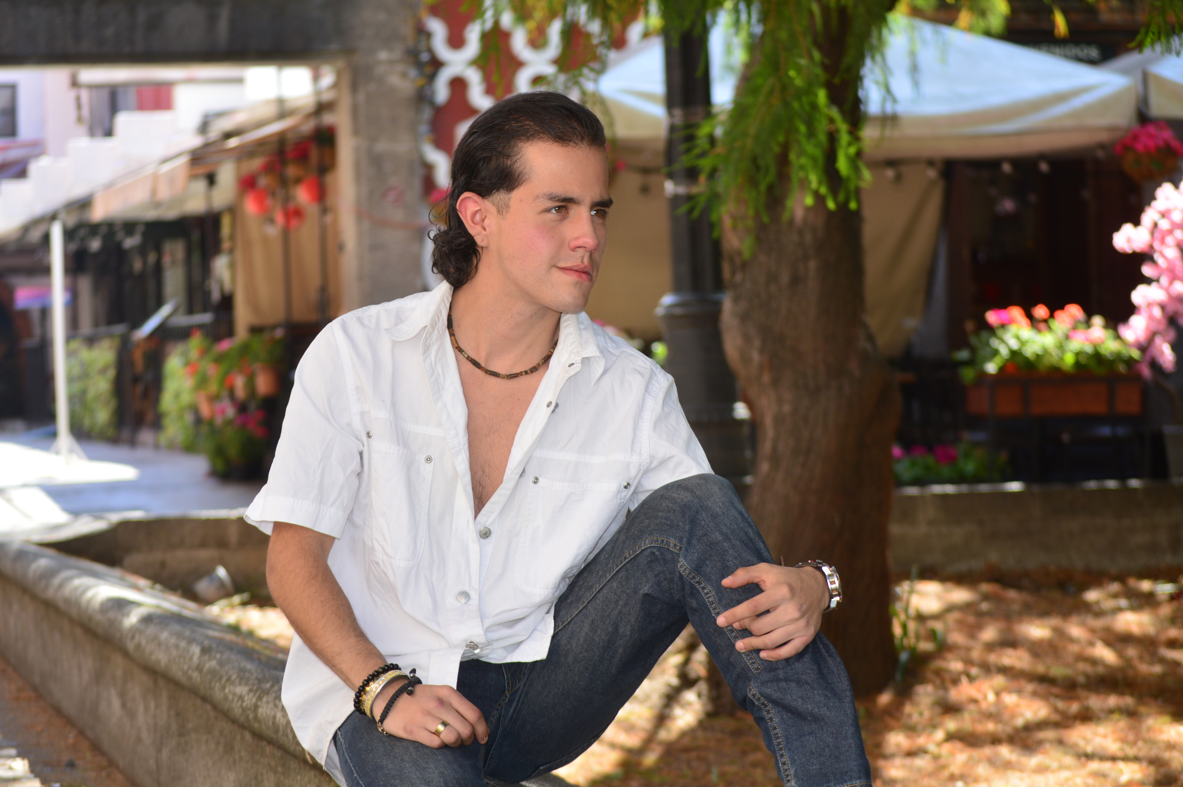 Carlos Meza – Ileana Pereira